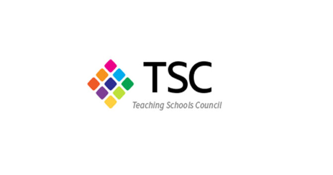 What is the Teaching Schools Council and how does it work?