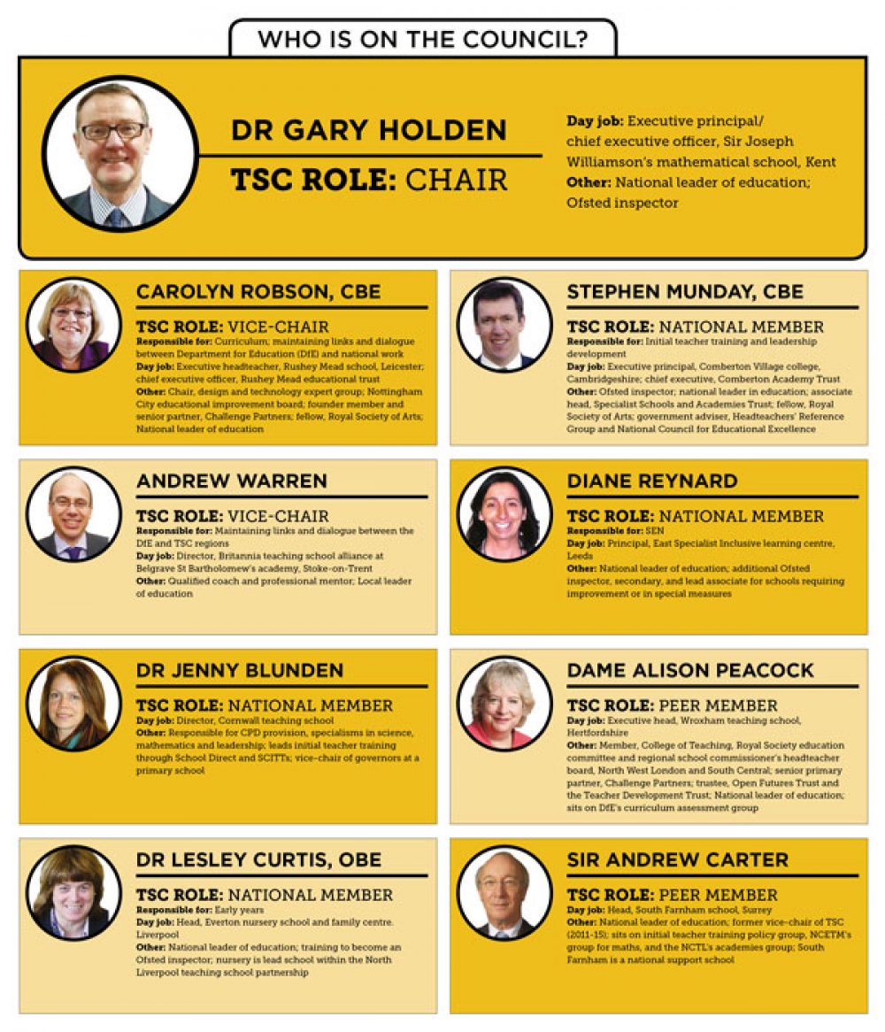 What is the Teaching Schools Council and how does it work?
