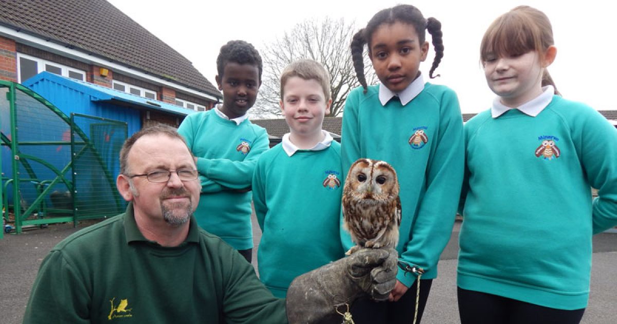 Minerva Primary Academy sponsor a rescue owl