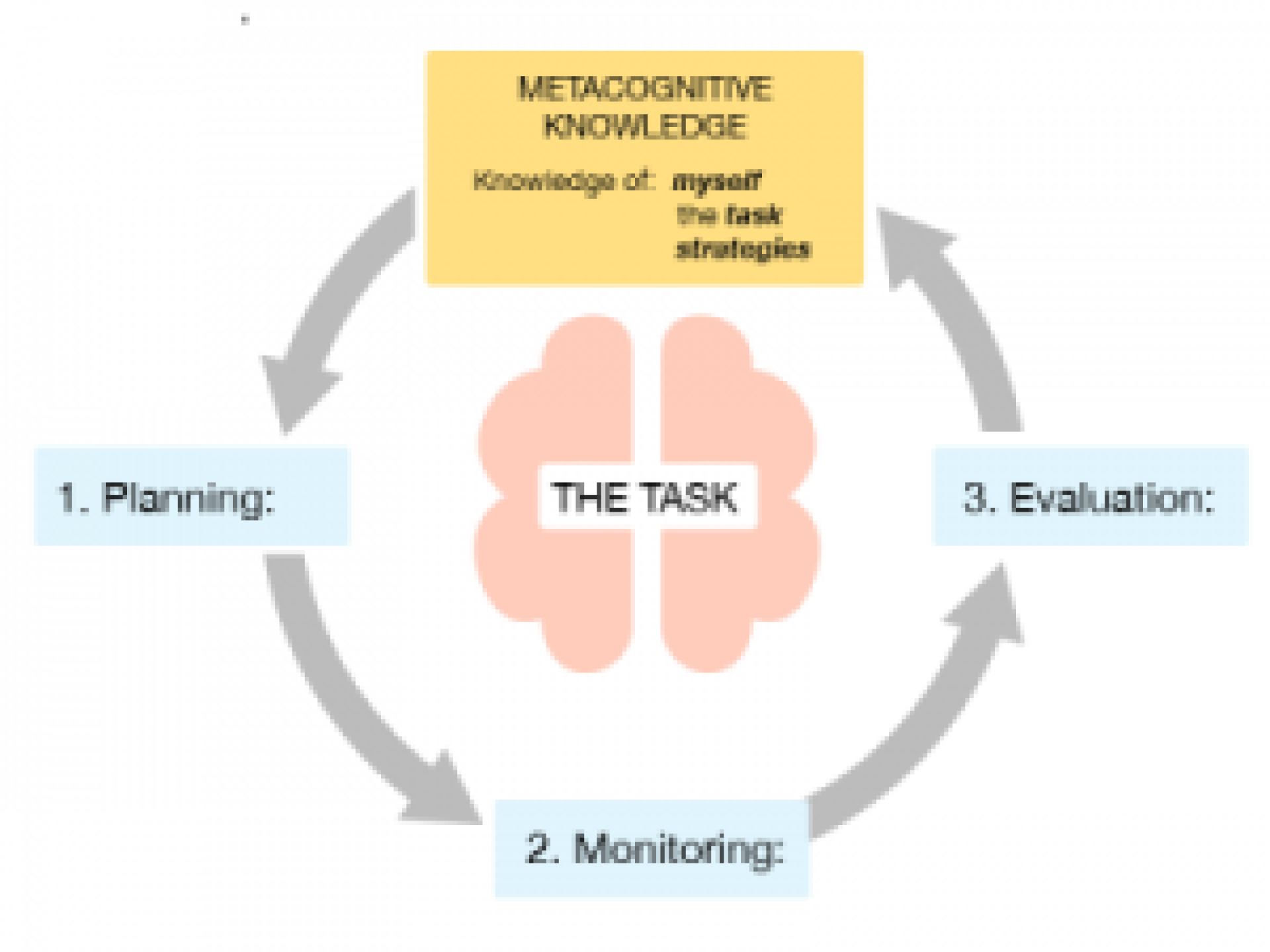Seven ways to improve science teaching, according to the EEF