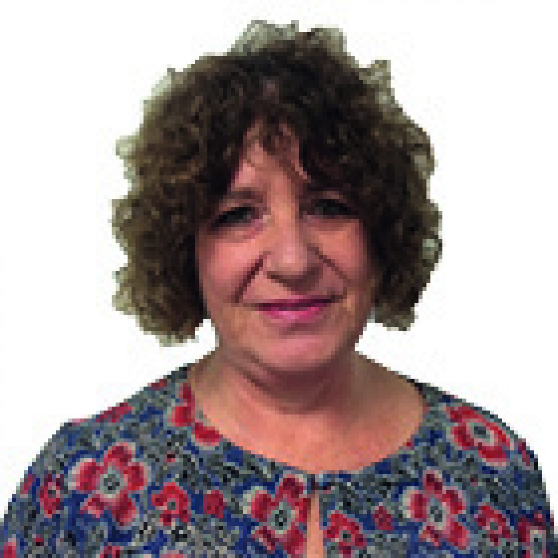 What does a 'high quality' ITE curriculum look like?