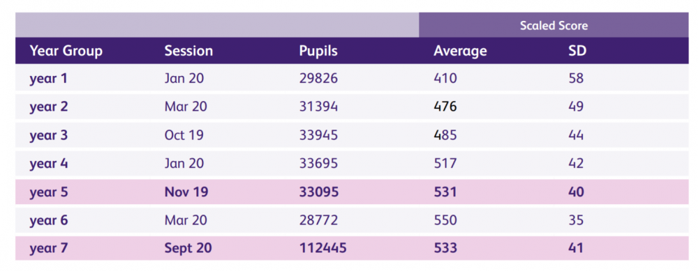 Year 7 pupils '22 months behind', finds writing study