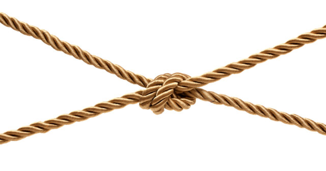 Weaving a ‘golden thread’ through professional development