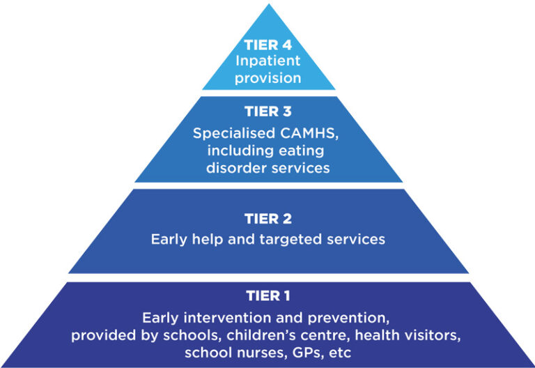 Schools pick up pieces as CAMHS turns away suicidal kids