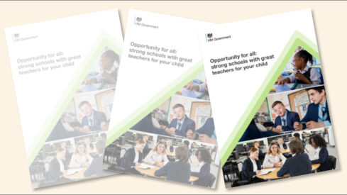 White paper: What exactly do we mean by local partnerships?